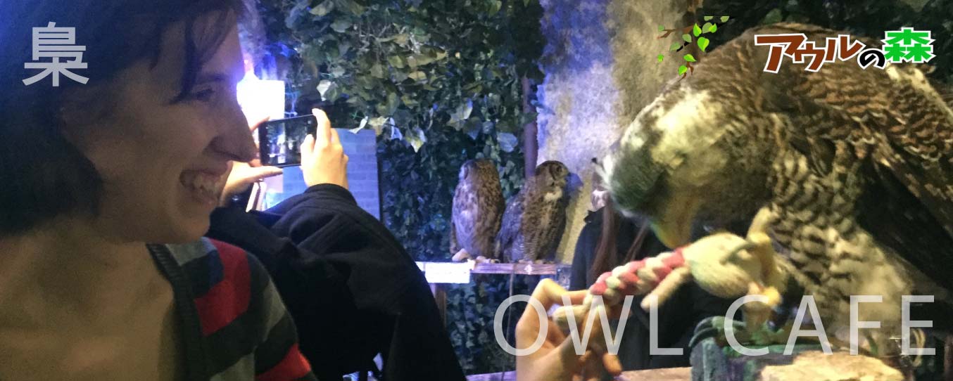 owl | 東京の日本語学校｜日本留学は東洋言語学院